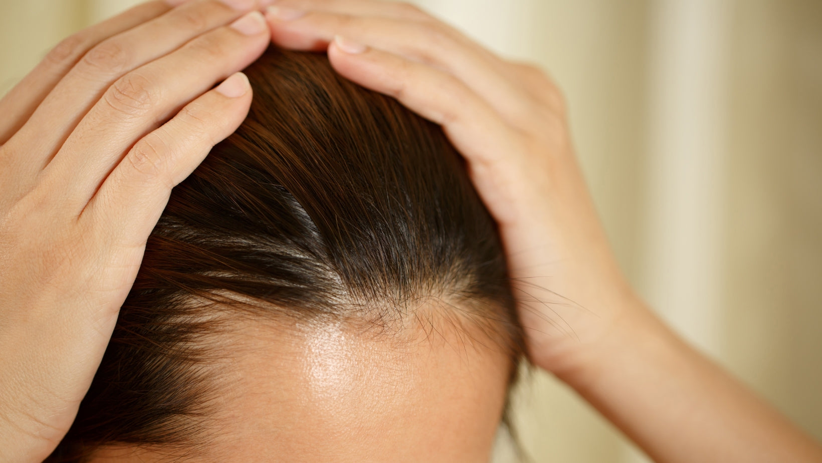 THE IMPORTANCE OF SEBUM FOR YOUR SCALP – Océane Avakian